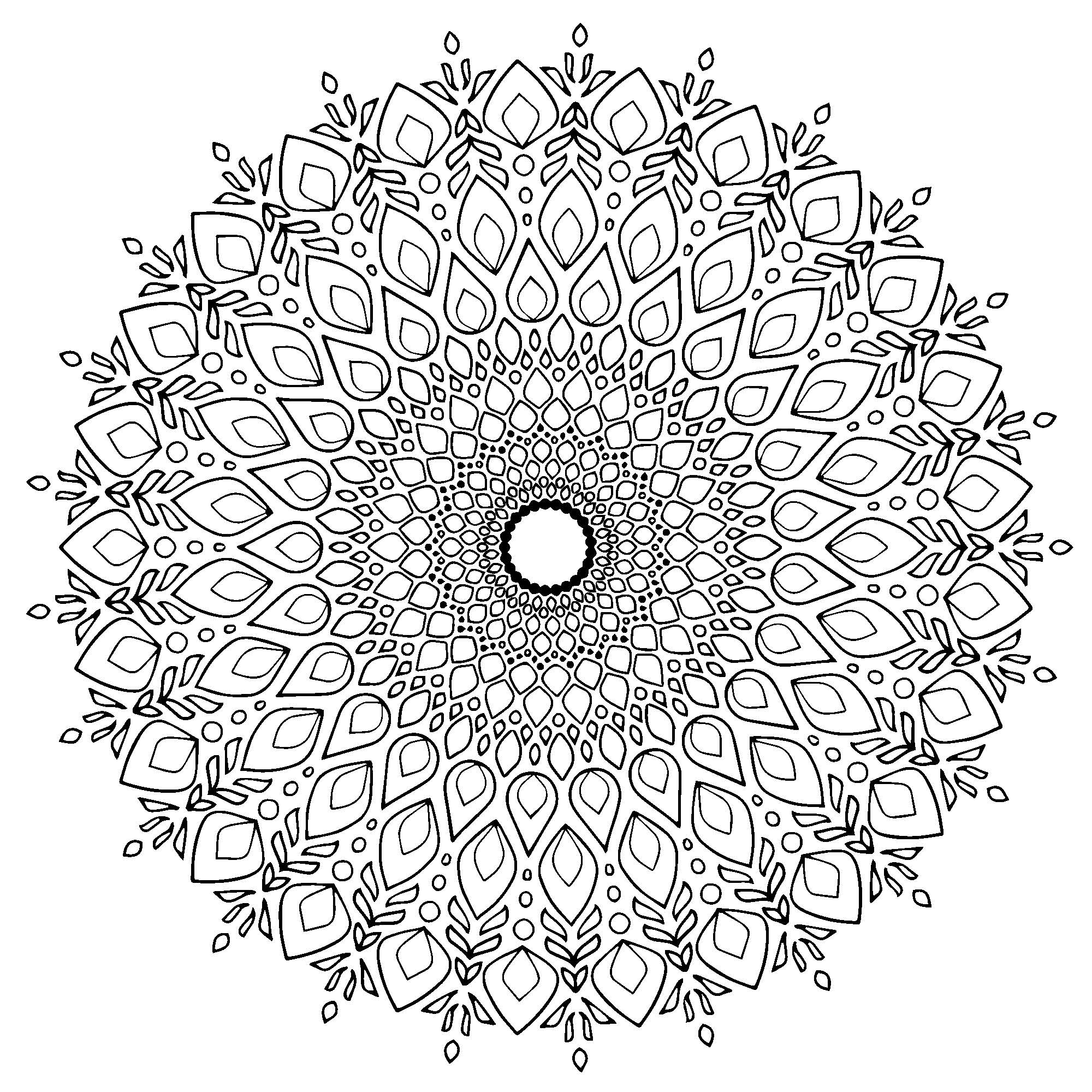 Mandala Drawing and Coloring Books